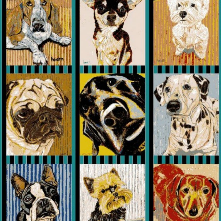 Dogma | Knotty Stitches